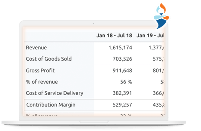 Genie | Let us streamline your Client Accounting Services practice